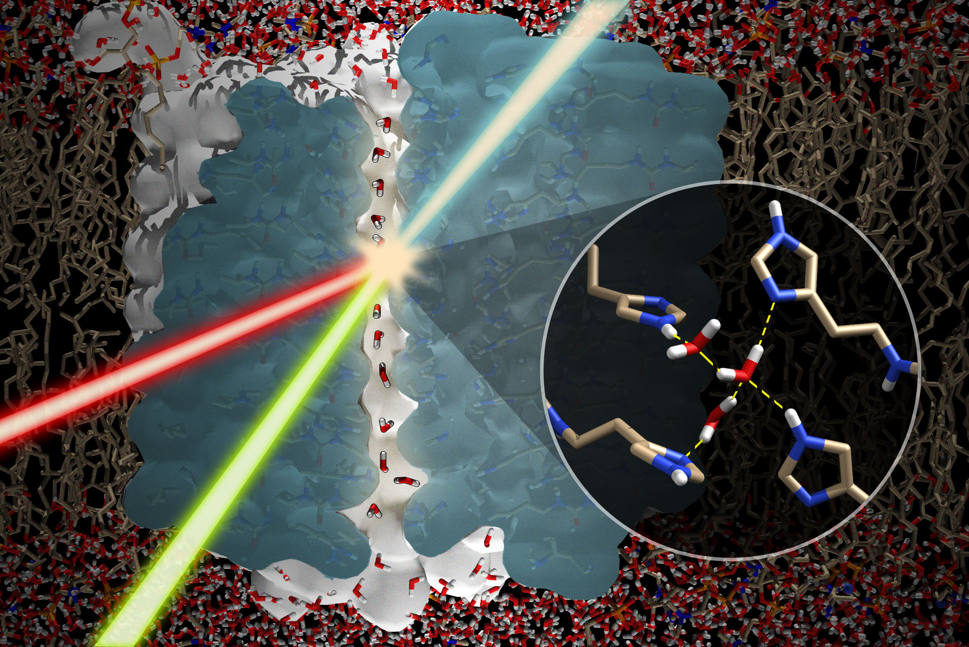 Publications – Petersen Group